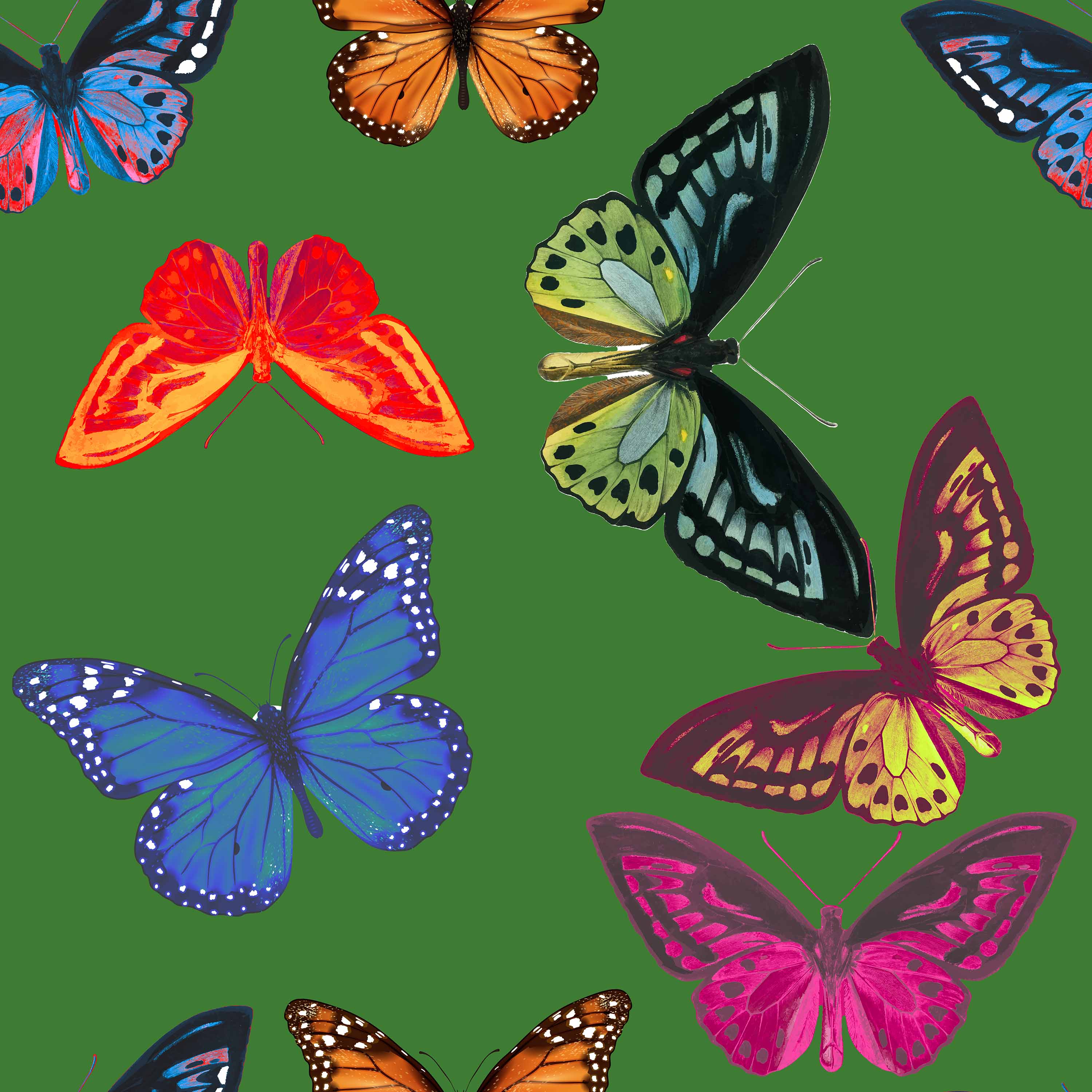 Fabulous Flutter – Wall Snobs