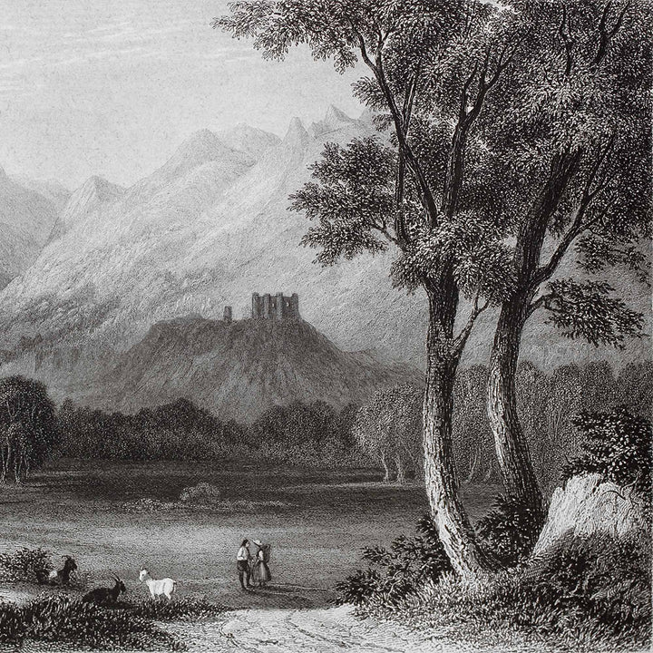 Timeless Wallpaper | Classic Wallpaper Designs | Wall Snobs